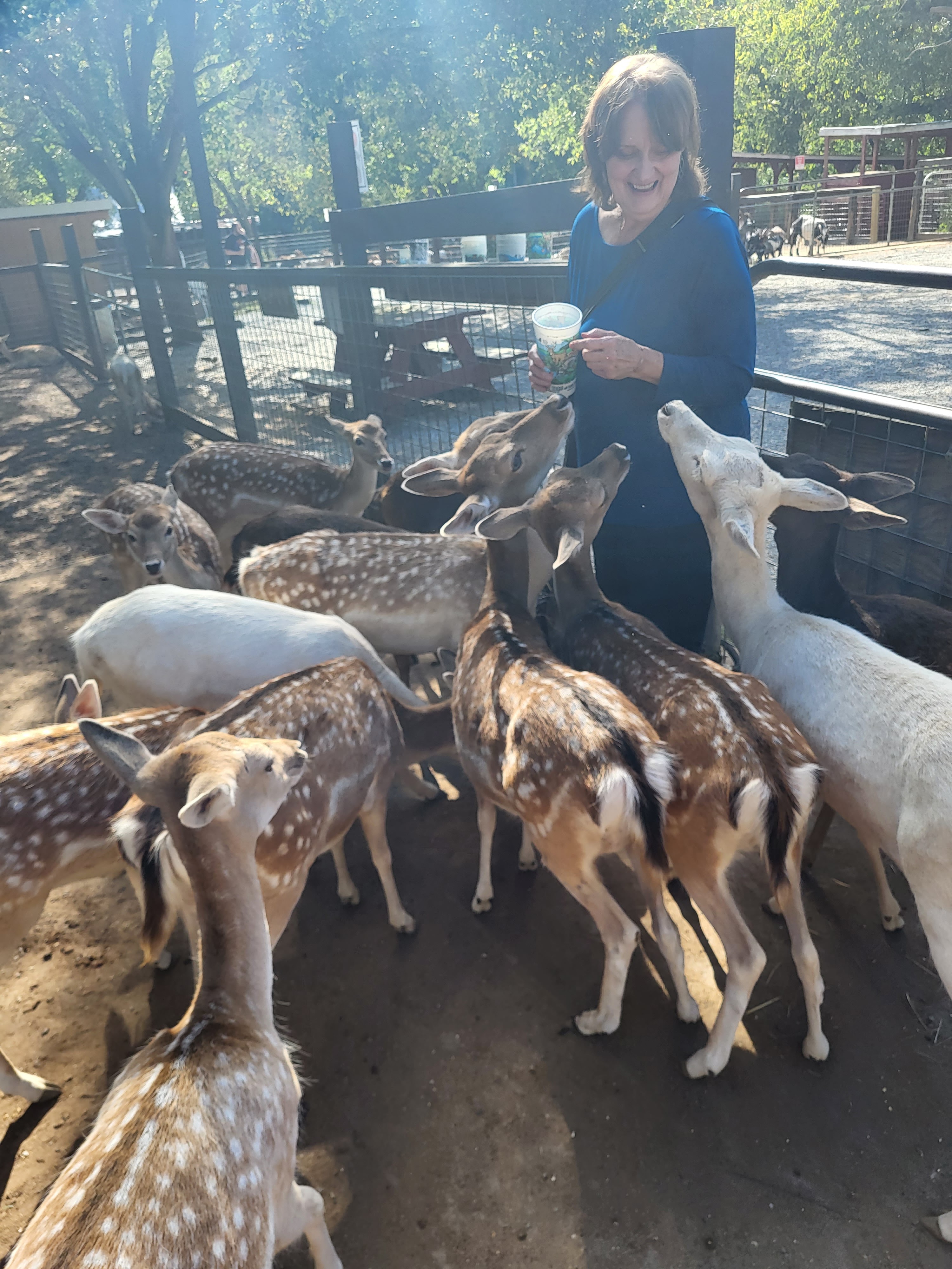 About the Author – Linda Denning