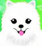 Is Peep a Sheep (or not)?!? – Sadie, the Story Lady