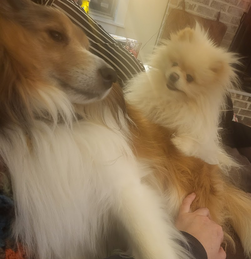 Bro-Peep – Linda Denning